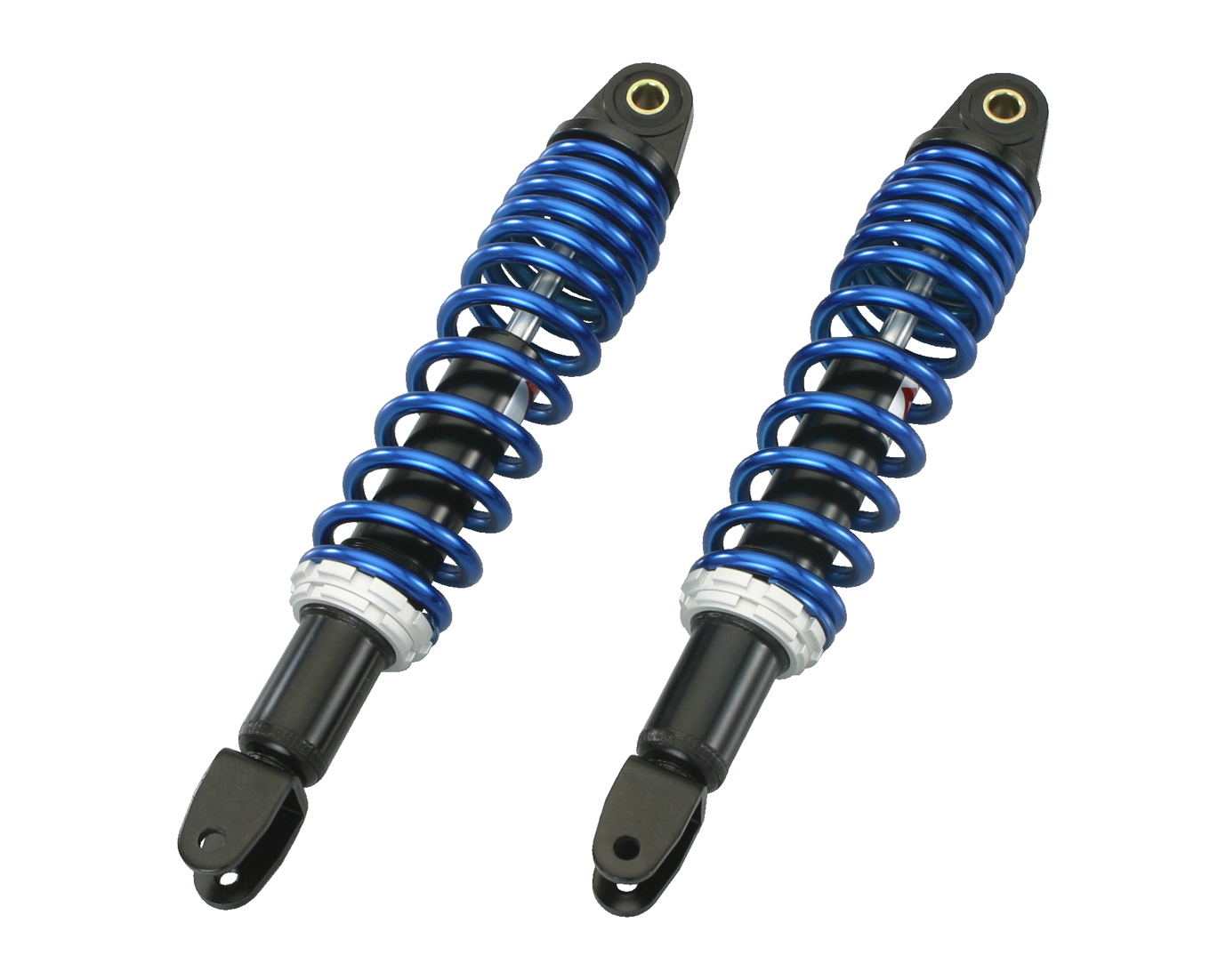 ブラックボディ/ブルースプリング